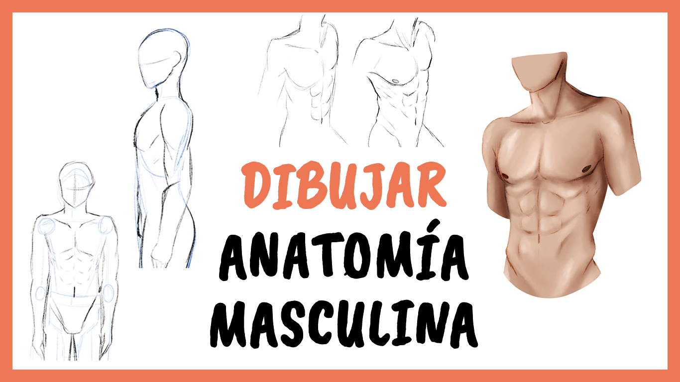 Cómo Dibujar El Cuerpo Humano Paso A Paso Fácil